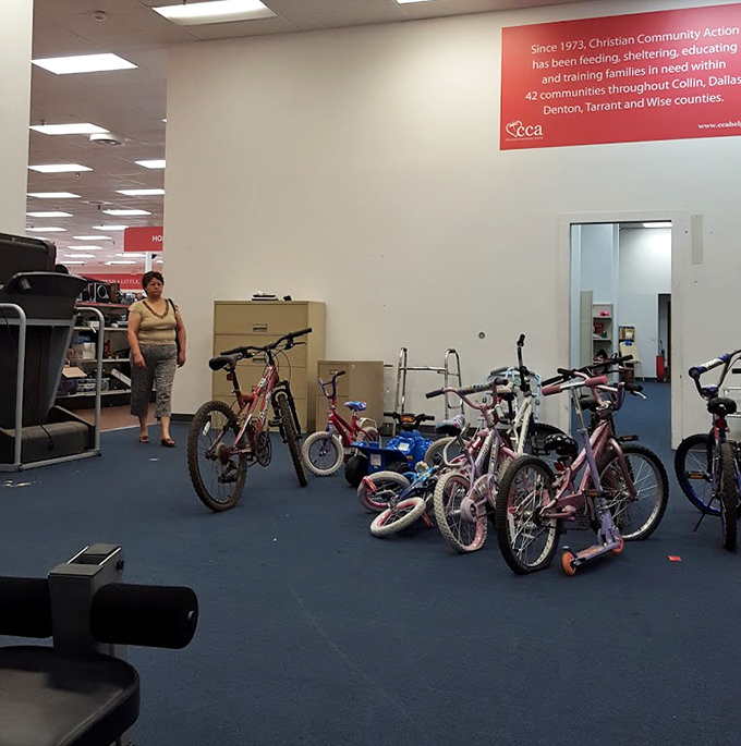 A fleet of bicycles awaiting new adventures. From first-time riders to seasoned cyclists, there's a set of wheels for every journey.