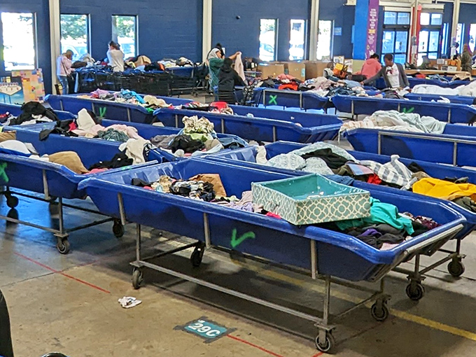 The famous blue bins of possibility &ndash; where clothing, housewares, and unexpected treasures mingle in a democratic jumble of potential.