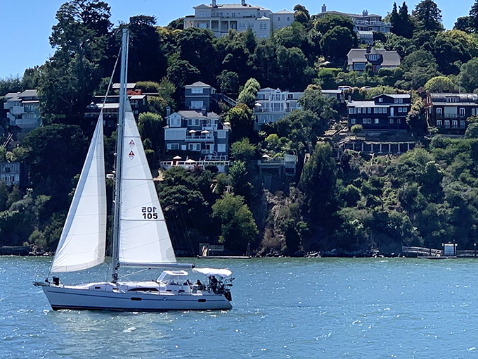 Nothing says "I'm living my best life" quite like sailing past million-dollar homes while others are stuck in highway traffic.