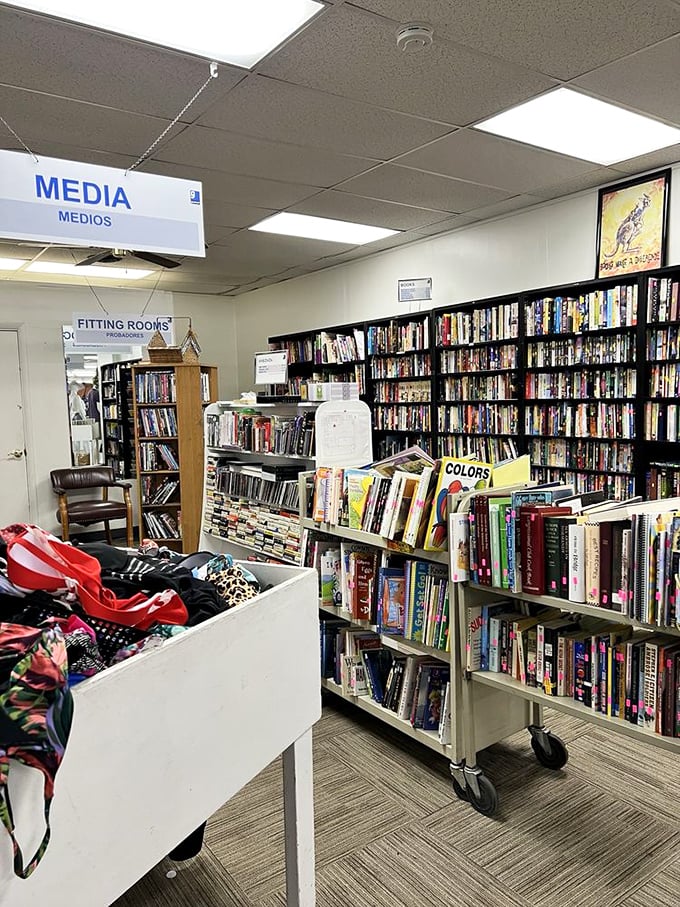 The media section: a literary time capsule where forgotten bestsellers and hidden gems share shelf space in peaceful coexistence.