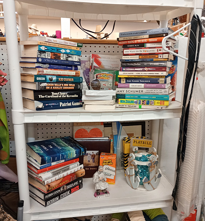 Literary treasures stacked with care, from bestsellers to obscure gems—each spine a doorway to another world for just a couple of bucks.