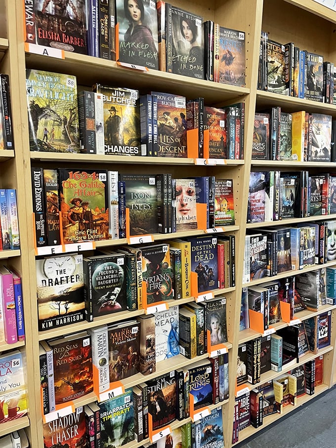Bookworms rejoice! This literary corner offers everything from bestsellers to hidden gems at prices that let you buy the whole series instead of just one volume.