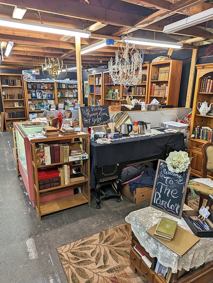 The literary corner where old books find new admirers. That chandelier hanging above suggests even reading deserves a touch of elegance.
