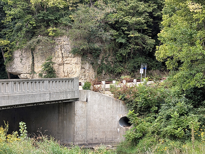 Engineering meets wilderness: this bridge isn't just crossing water, it's connecting visitors to adventures waiting on the other side.
