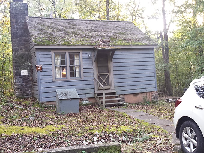 CCC-built cabin that's seen more family memories than a holiday photo album. Rustic charm meets practical comfort in this woodland retreat.