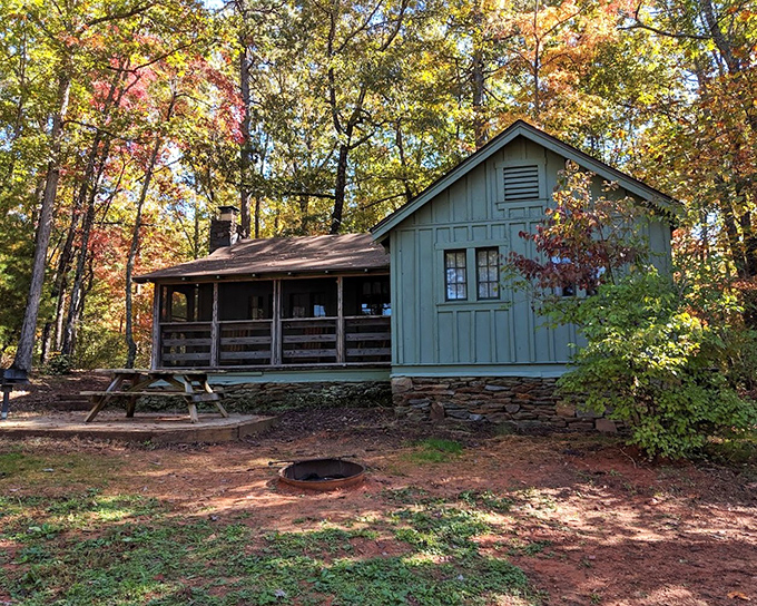 This rustic cabin nestled among fall foliage offers woodland luxury without the pretension. Five-star views with a zero-star cell signal.