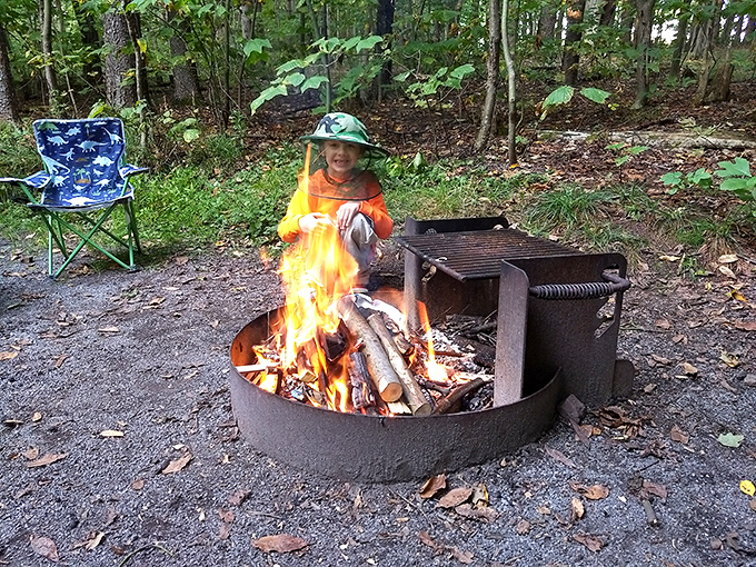 Campfire magic in the making. Nothing beats stories told around dancing flames while the forest provides the perfect backdrop for memory-making.