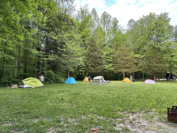 A patchwork of colorful tents dots the landscape, each a temporary home for those seeking starry nights.