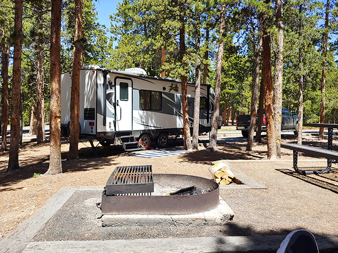 Camping among the pines: where your RV becomes a five-star accommodation with million-dollar views and complimentary pine-scented everything.