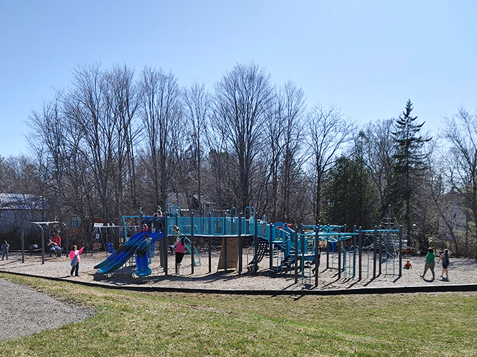 Local playgrounds prove happiness requires no subscription fee. These swings and slides have launched more childhood memories than Disney+.