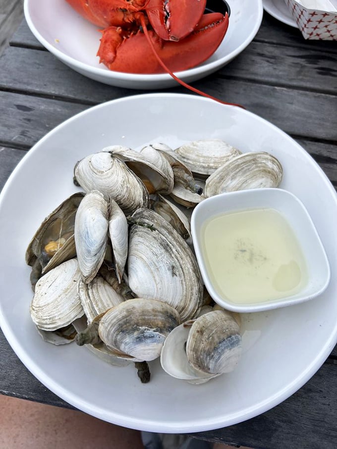 Steamers so fresh they practically introduce themselves by name and hometown before jumping into the butter bath.
