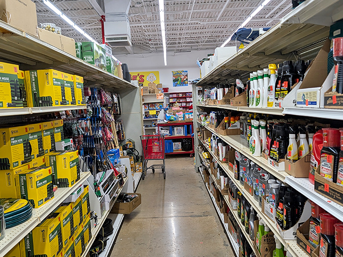 Hardware heaven meets cleaning supply nirvana. The tools of domestic victory line these shelves, awaiting your next weekend project.