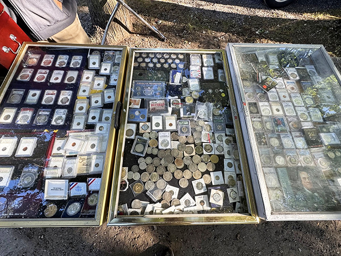 Coin collectors rejoice&mdash;display cases filled with numismatic treasures waiting for someone who actually knows what they're worth.
