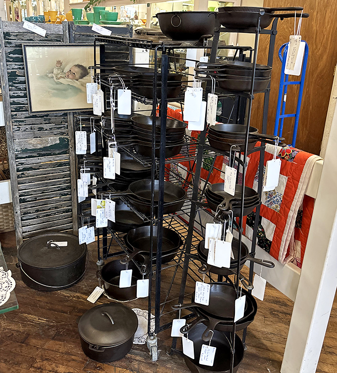 Cast iron heaven! These seasoned beauties have outlived countless modern pans and stand ready for another century of perfect cornbread.