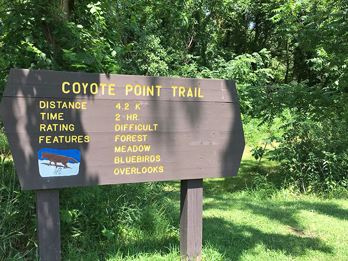 The Coyote Point Trail sign&mdash;where "difficult" is code for "your thighs will remind you of this hike tomorrow, but your spirit will thank you forever."