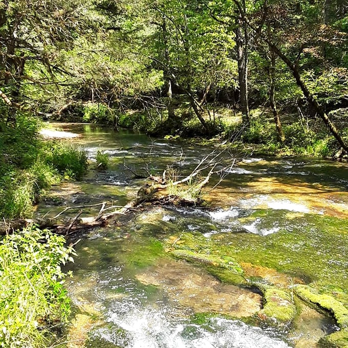 The creek downstream offers its own quiet magic &ndash; clear waters revealing a mosaic of stones that have witnessed centuries of flowing history.