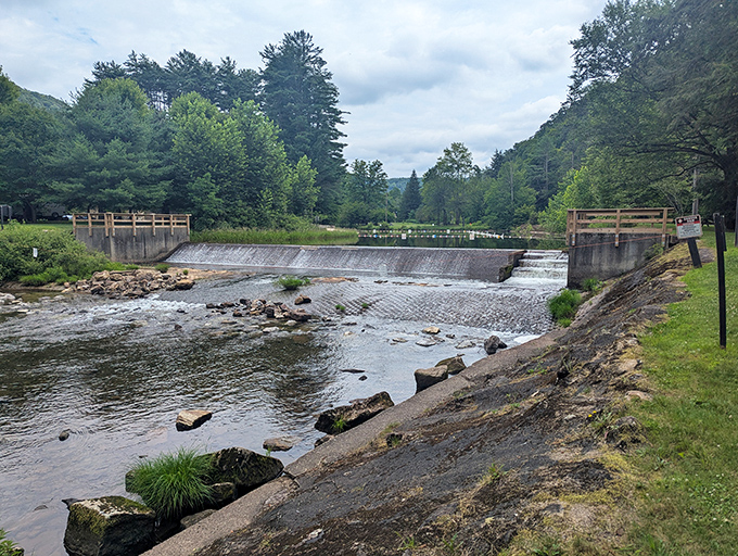 The dam creates a perfect swimming hole where summer memories are made and children discover the joy of cold water.