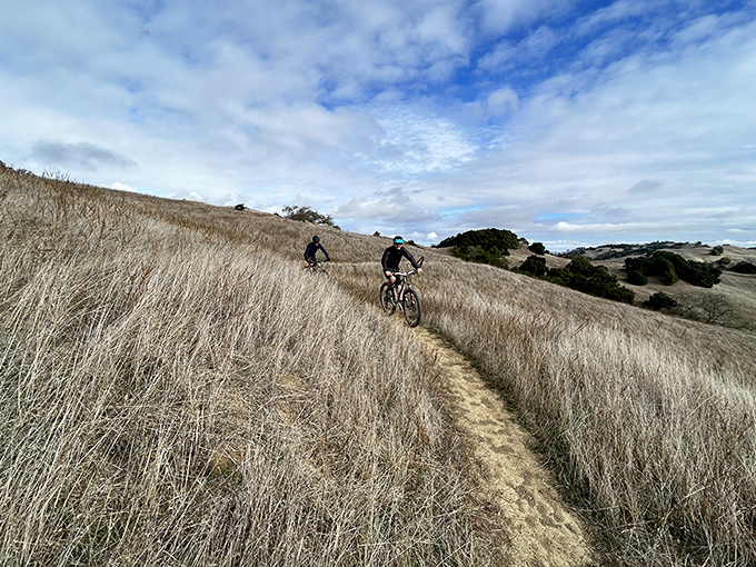 The California gold rush continues&mdash;in grass form. Cyclists navigate through sun-bleached hillsides that transform the landscape into a sea of wheat-colored waves.