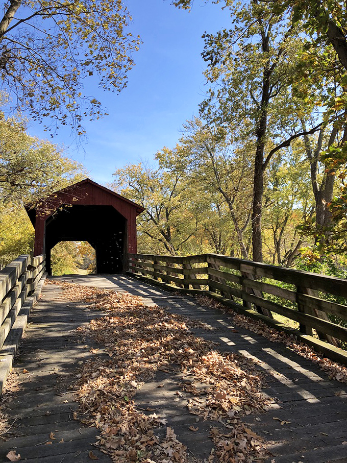 Autumn's golden touch turns the bridge into a postcard moment&mdash;nature's way of showing off its seasonal Instagram filters.
