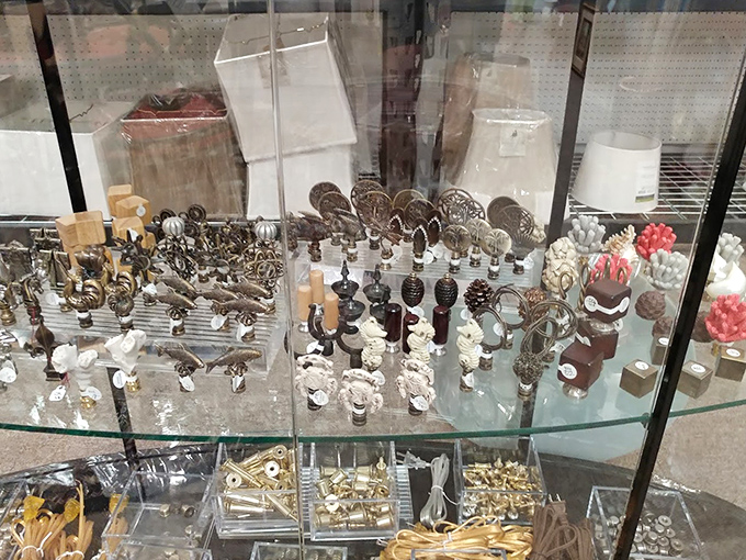 Tiny treasures with outsized personality. These display cases are like jewelry boxes for grown-ups with exquisite taste.