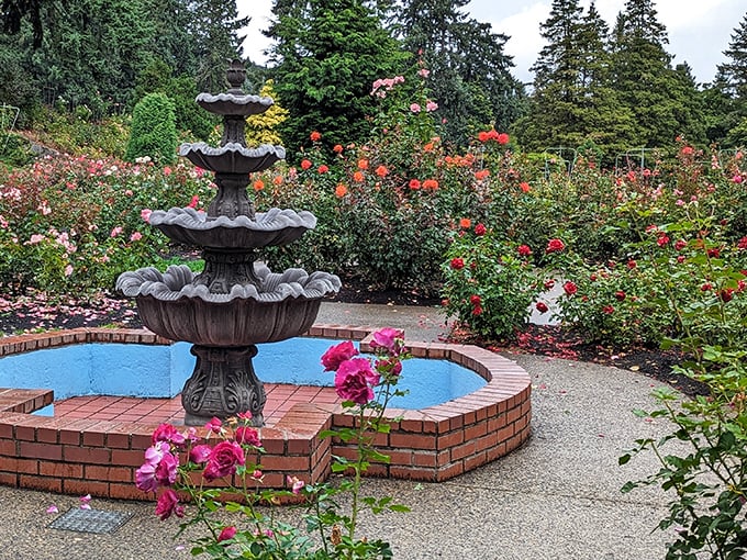 Water and roses&mdash;a match made in garden heaven. This fountain creates a soothing soundtrack for your floral adventure.