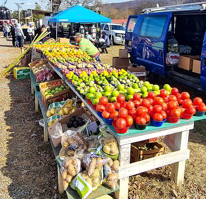 Nature's color palette on full display. These fruits and vegetables traveled fewer miles to get here than you did, and they're priced to make grocery stores blush.