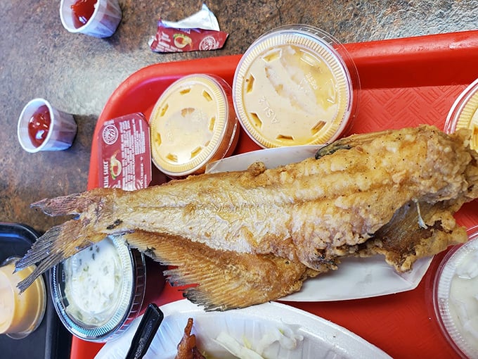 Fried fish so perfectly golden, it makes you wonder if King Midas himself is working the fryer in the back.