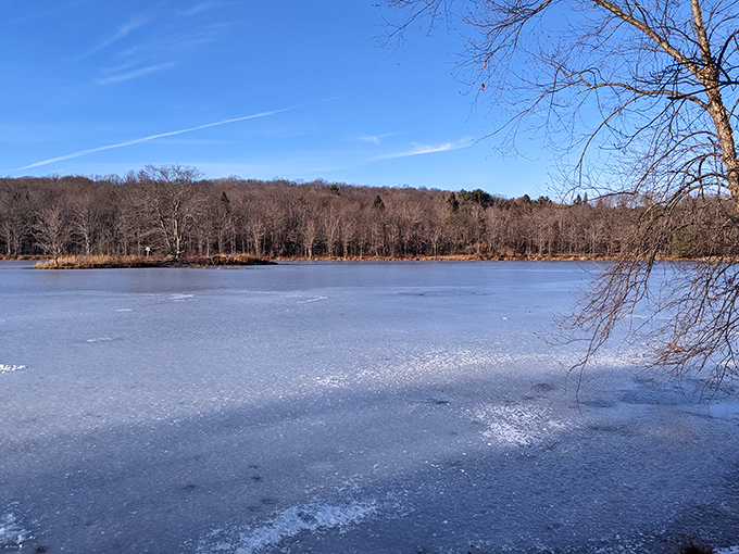 Winter transforms Lake Frances into a crystalline landscape. The silence of a frozen lake speaks volumes about nature's patient artistry.
