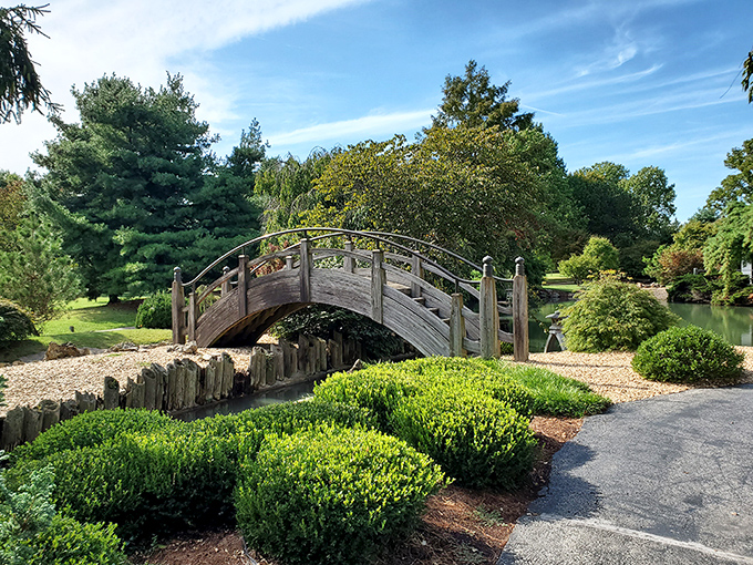 This arched wooden bridge doesn't just connect two shores&mdash;it connects visitors to centuries of Japanese garden tradition. Engineering meets artistry in perfect harmony.