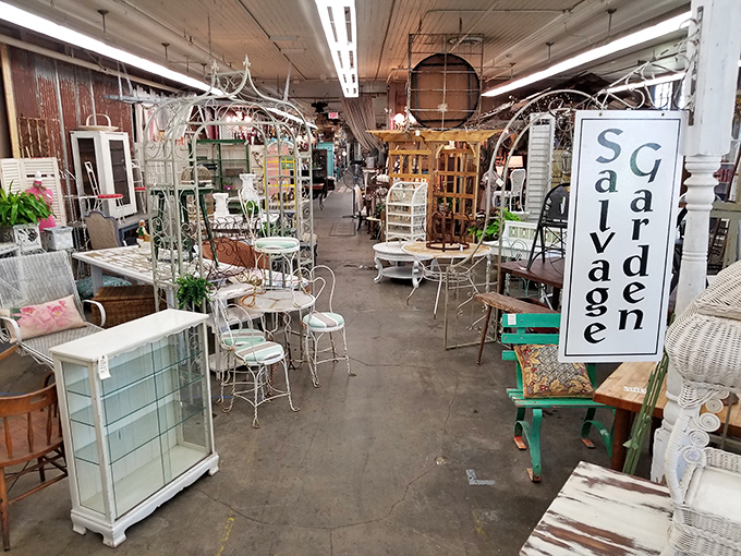 The "Salvage Garden" sign beckons with promises of rescued treasures that deserve second acts in your backyard paradise.