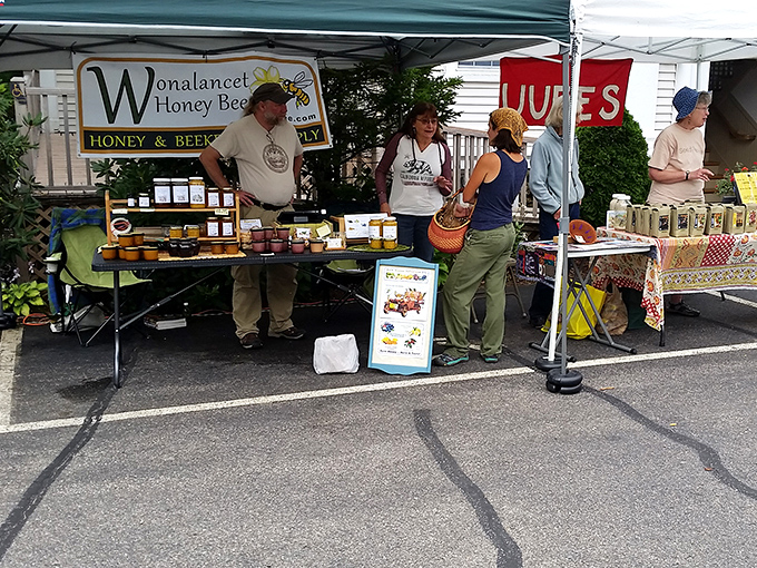 Wonalancet Honey's liquid gold gleams in the sunlight. Nature's most perfect food, brought to you by thousands of tiny, buzzing collaborators.