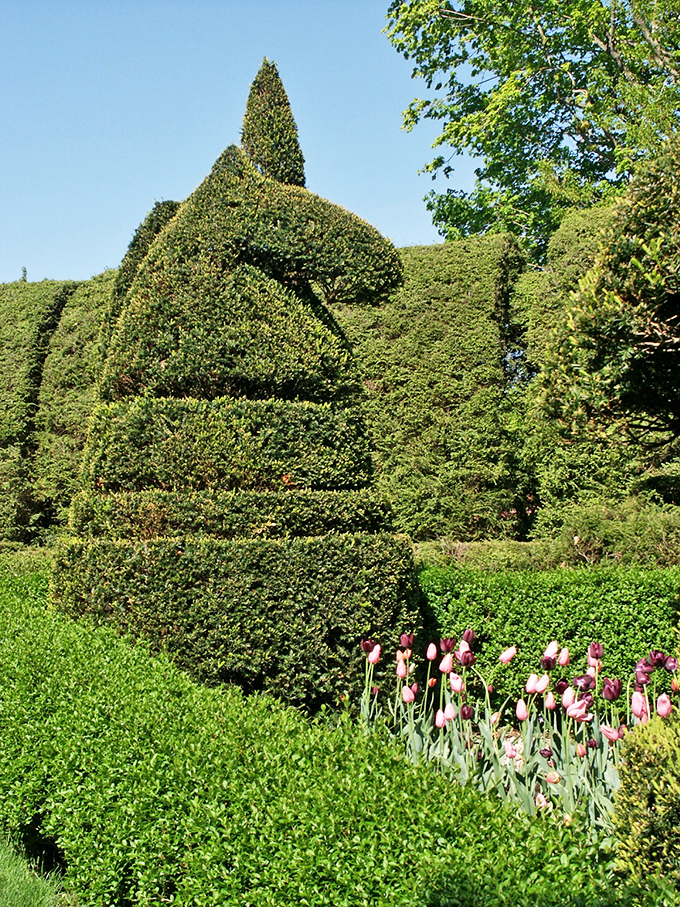 Neigh to ordinary landscaping! This horse head topiary stands proudly among spring tulips, looking ready to whinny garden advice to visitors.