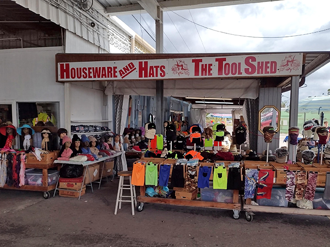 The Tool Shed and hat section &ndash; where practical meets whimsical, and you'll find yourself justifying purchases with "but I might need this someday!"  