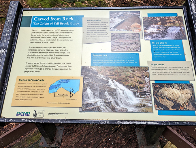 Mother Nature's history book, conveniently displayed for curious minds. These interpretive signs reveal the fascinating geological story behind the park's formation.