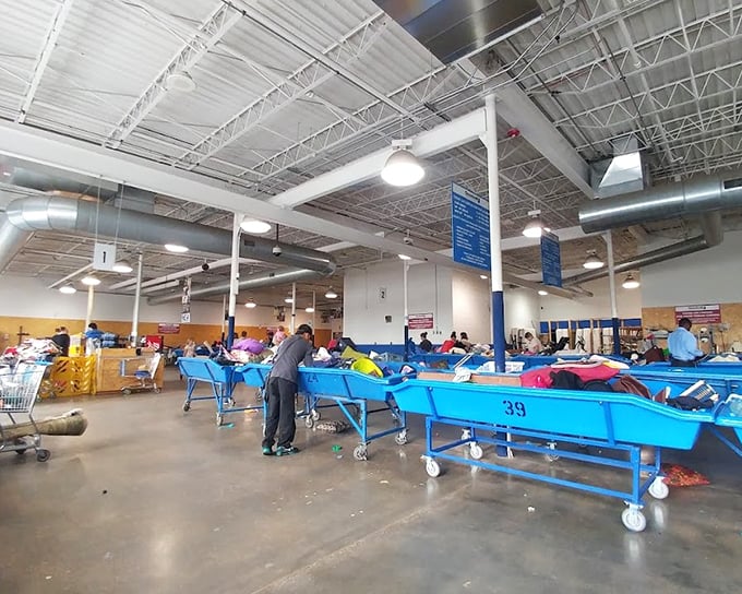 The grand arena of thrift, where shoppers circle blue bins like modern-day prospectors, each hoping to strike vintage gold.