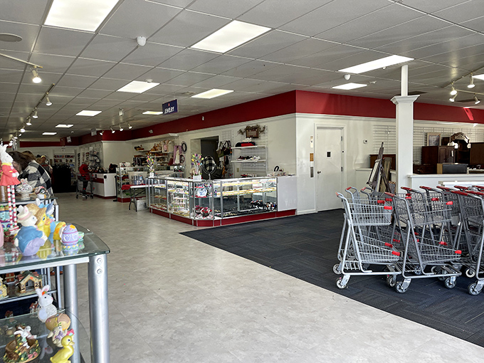 The main floor: where shopping carts gather like hopeful chariots. Clean, bright, and organized&mdash;this isn't your grandmother's cluttered thrift store.