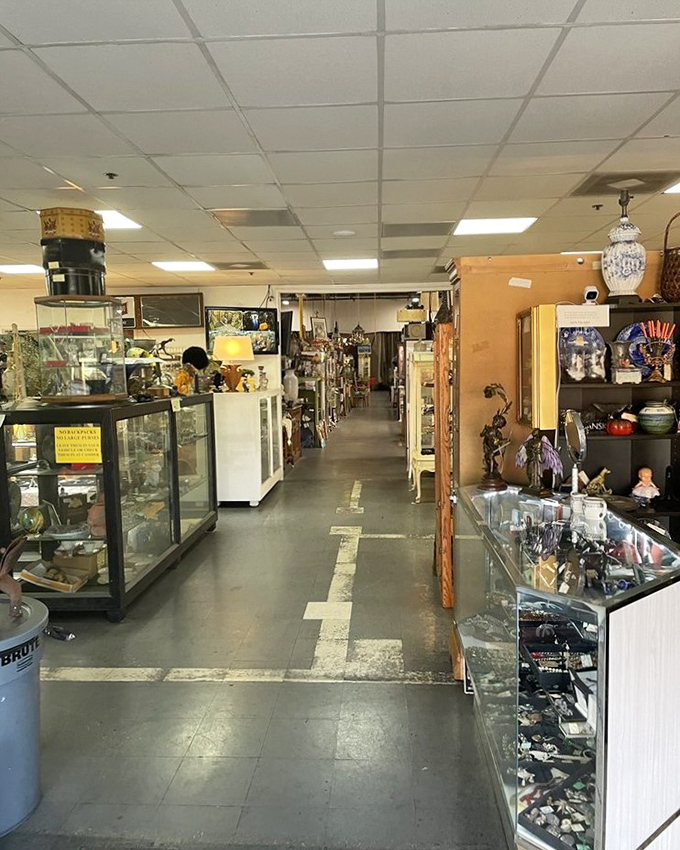 Wide aisles of possibility stretch endlessly, each display case a window into someone's former obsession.