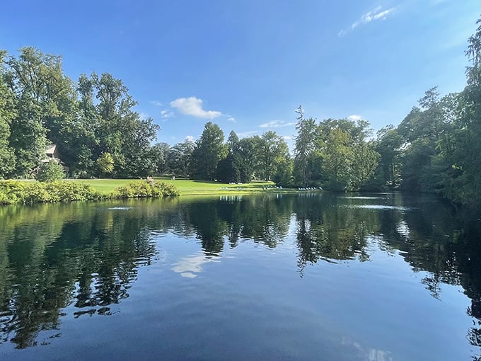 Mirror-like waters reflect a perfect blue sky, creating that rare moment when you can't tell where nature ends and its reflection begins.
