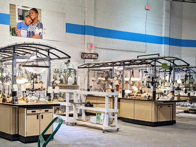 Chandeliers hang like crystalline fruit from an otherworldly tree. One person's outdated lighting fixture is another's vintage statement piece.