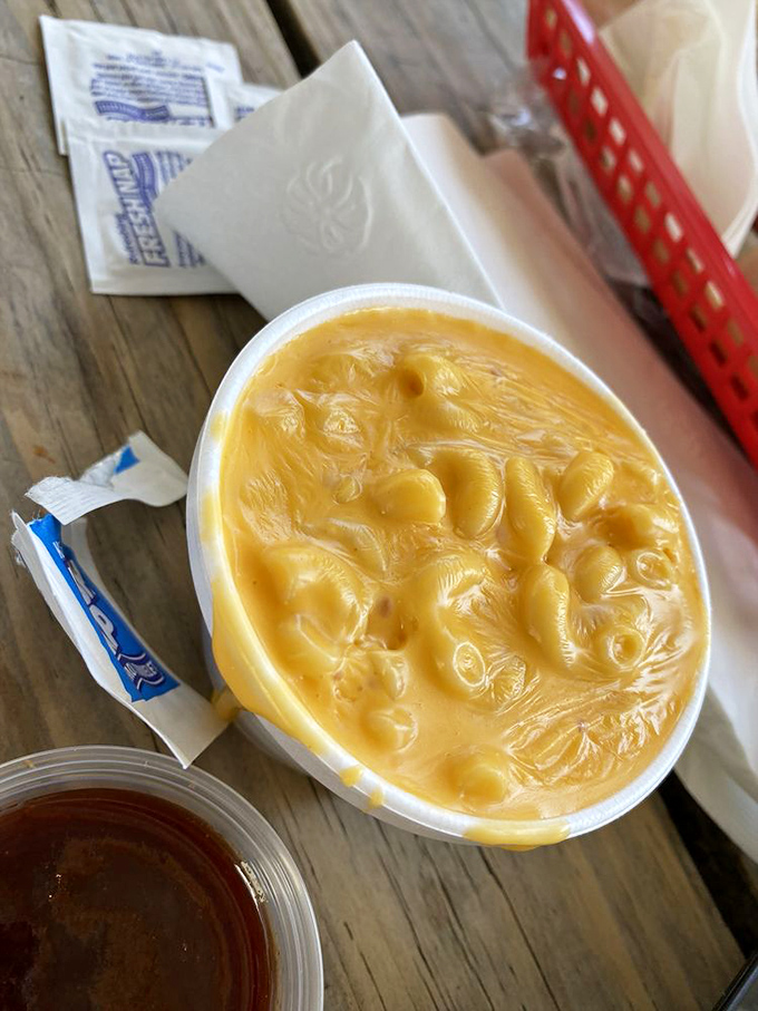 Mac and cheese that achieves the golden ratio of creamy to cheesy &ndash; comfort food that doesn't just hug you, it writes you into its will.