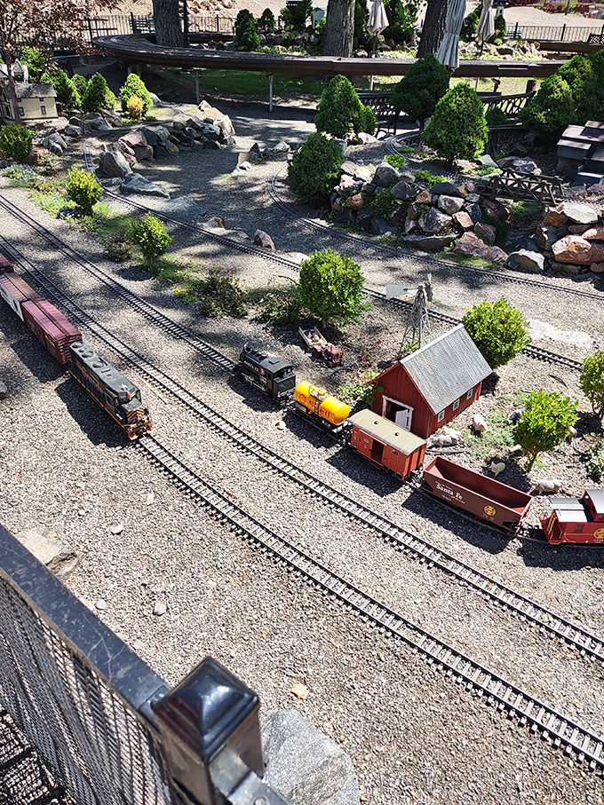 Tiny trains navigate a landscape where imagination runs on perfectly scaled tracks, delighting engineers of all ages.
