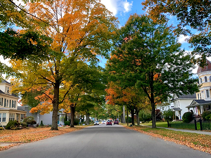 Fall in Titusville transforms ordinary residential streets into calendar-worthy scenes that make leaf-peepers weak at the knees.