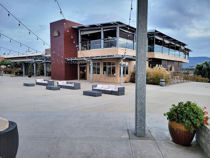 Modern meets timeless: Callaway's contemporary tasting facility provides the perfect backdrop for afternoon wine country adventures.