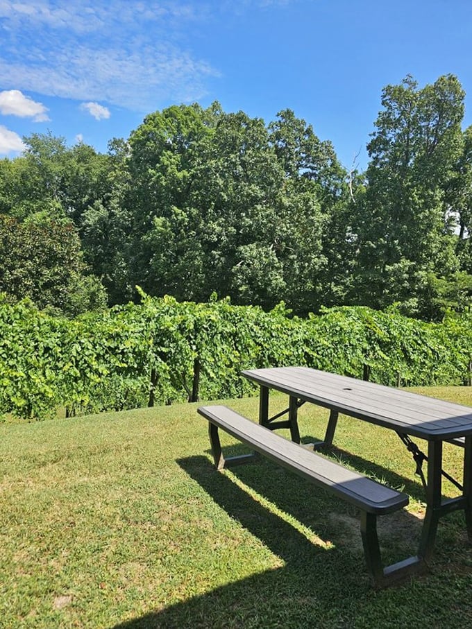 A picnic table with vineyard views &ndash; nature's dining room where conversations flow as freely as the wine.