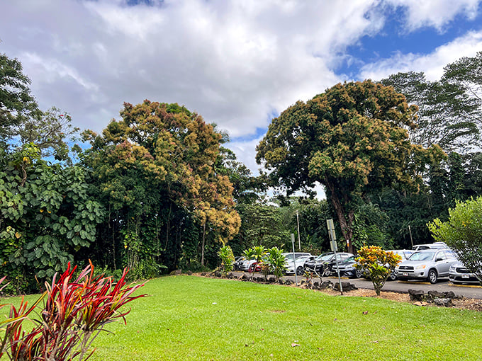 The well-maintained parking area welcomes visitors with towering trees. Your first hint that something spectacular awaits just beyond those trunks.