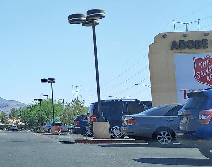 Nevada sunshine bathes the parking lot where cars come empty and leave full, the circle of thrift store life in action.