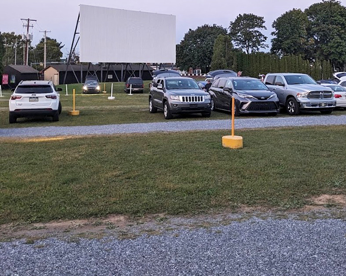 Cars lined up facing the screen like an audience of metal and glass, waiting for the show.