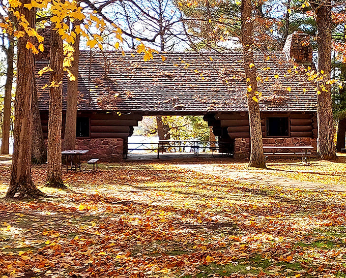 This rustic pavilion has witnessed countless family reunions, picnics, and the timeless tradition of arguing over the last potato salad scoop.