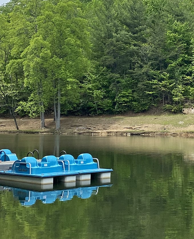 Lake recreation, Kentucky-style! These blue pedal boats wait patiently for visitors to create the kind of summer memories that last through winter. 