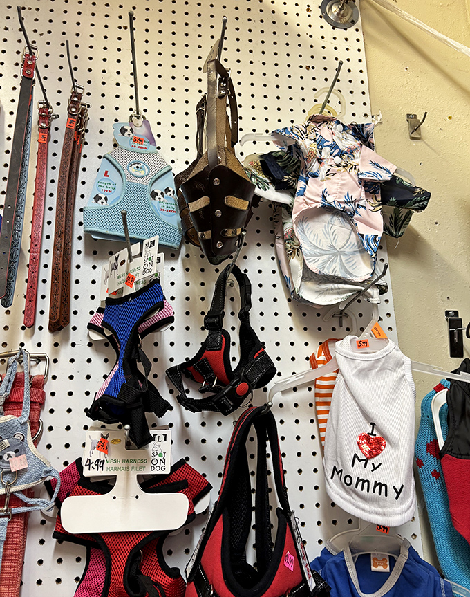 Pet accessories ranging from practical harnesses to "I Love Mommy" shirts prove that pet spoiling is a universal language.